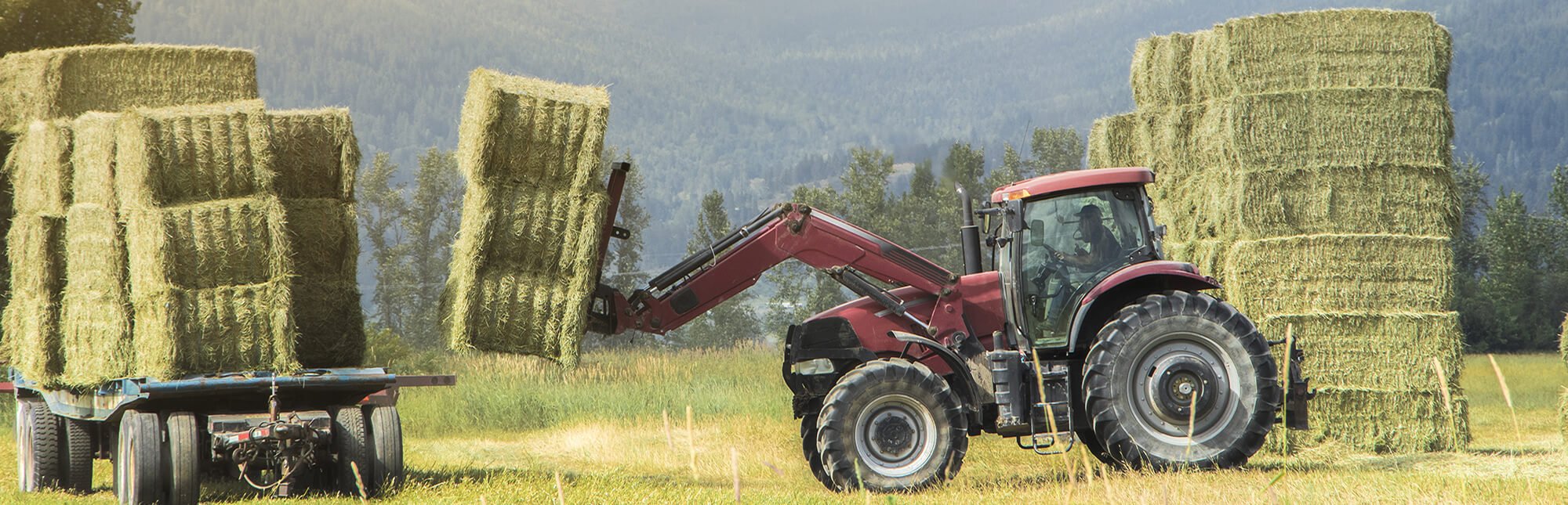 Western Auction Solutions | Online Auctions | New & Used Equipment Sales